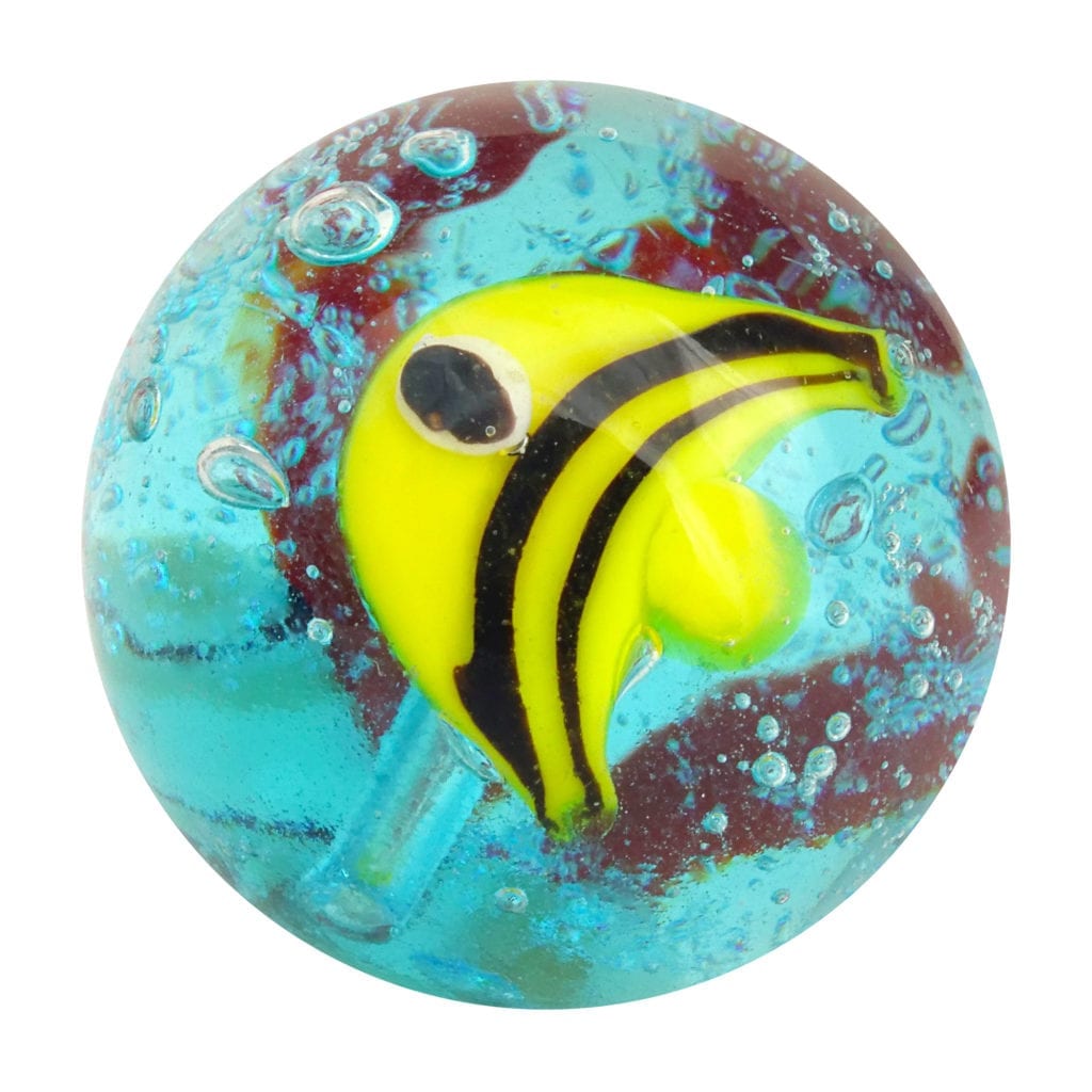 Tropical Fish Marble - House of Marbles